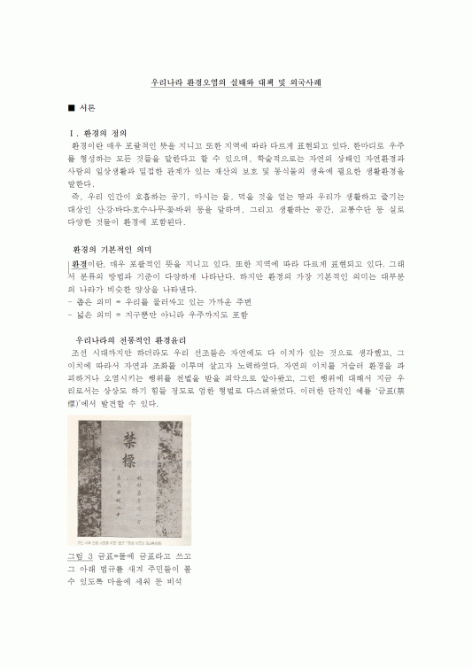 [환경오염실태]우리나라 환경오염의 실태와 대책 및 외국사례
