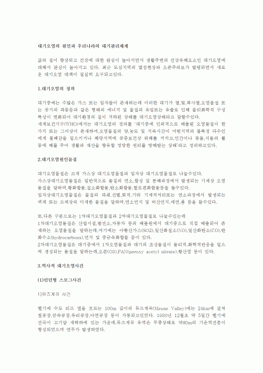 대기오염의 원인과 우리나라의 대기관리체계