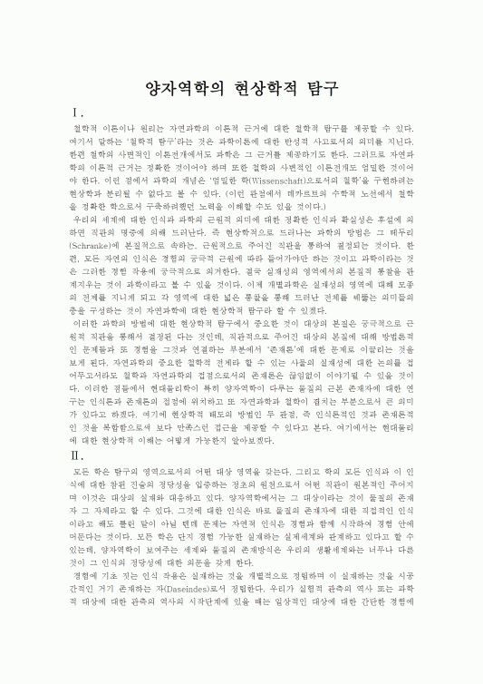 양자역학의 현상학적 탐구