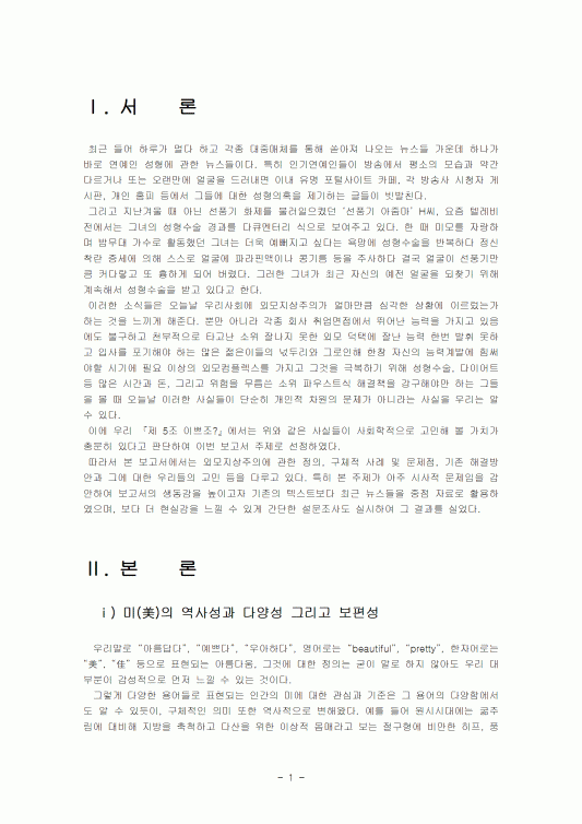 미(美)에 관한 보고서