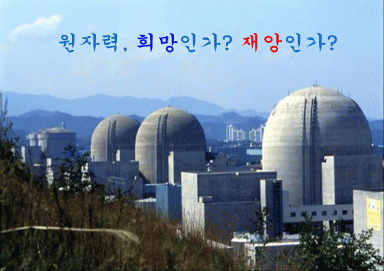 원자력 발전소