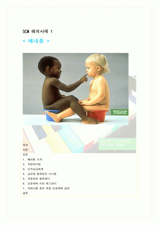 SCM도입사례 레포트 자료