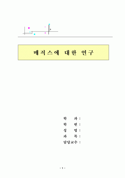 여성필수품인 매직스에 대한 마케팅 전략 완벽분석