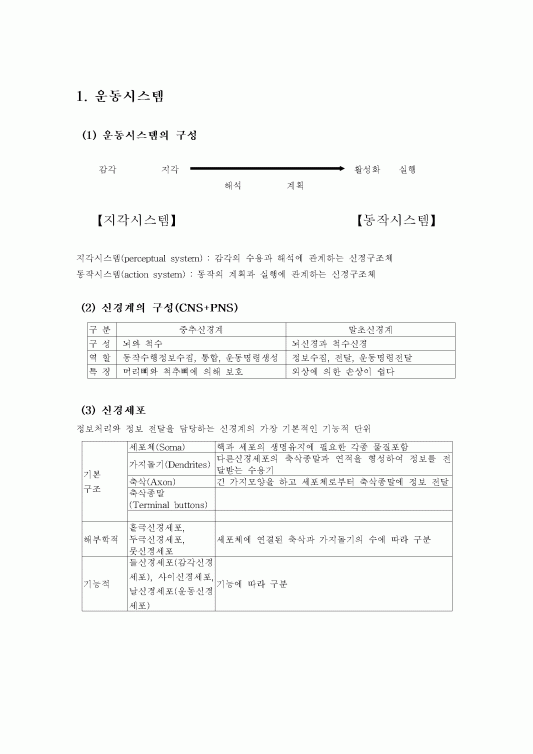 운동시스템 레포트 자료