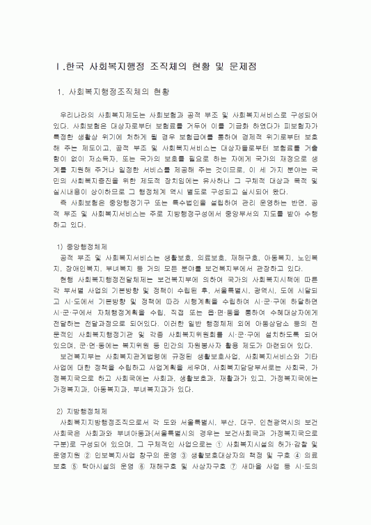 한국 사회복지행정 조직체의 현황 및 문제점