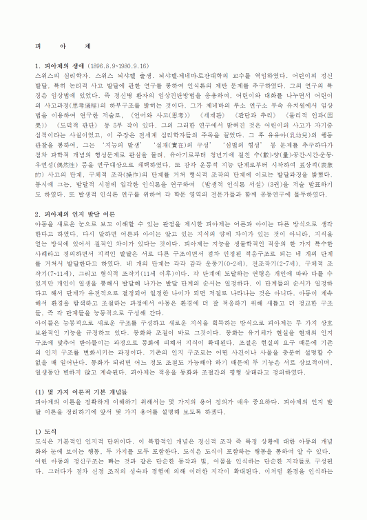 피아제 이론 정리