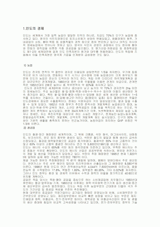 [사회과학] 인도의 경제