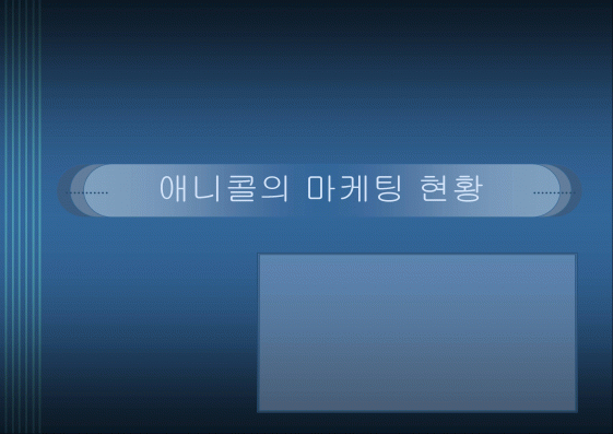 애니콜 마케팅분석