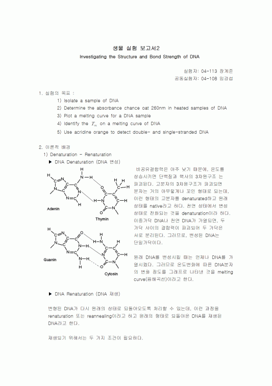 DNA 구조 및 결합길이 조사