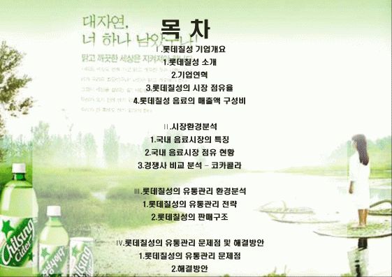 롯데칠성의 유통경영사례 분석
