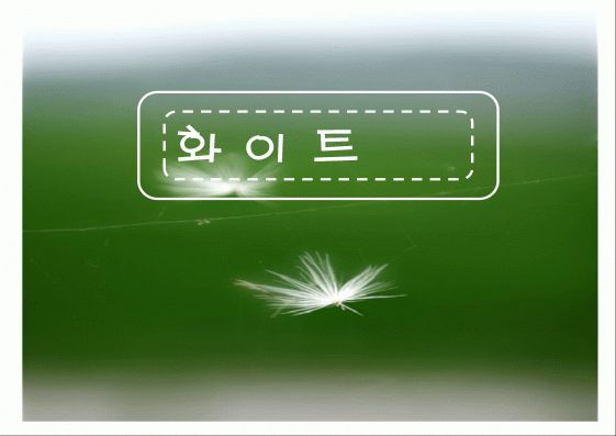 [광고기획]화이트 광고기획서(설문조사포함)