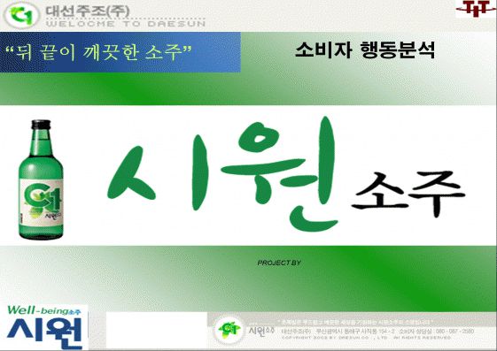 [제품 분석] 시원소주의 마케팅 전략과 발전 방향 프레젠테이션 자료 (고급 PPT자료)