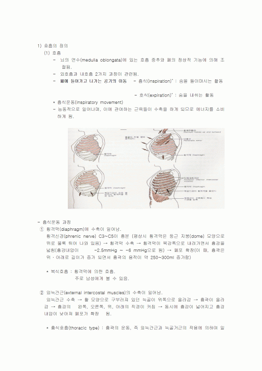 호흡에 관한 정리