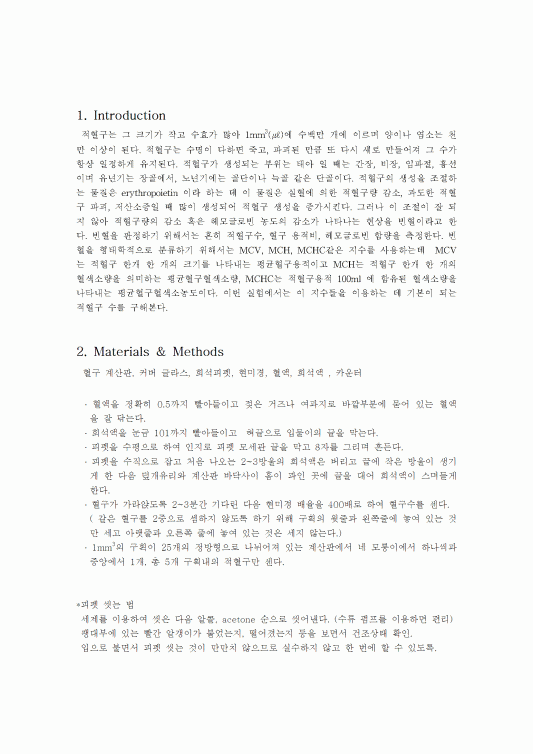 적혈구 수 계산 측정