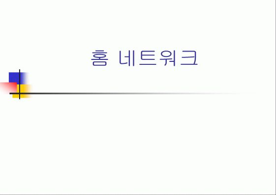 홈 네트워크 레포트 자료