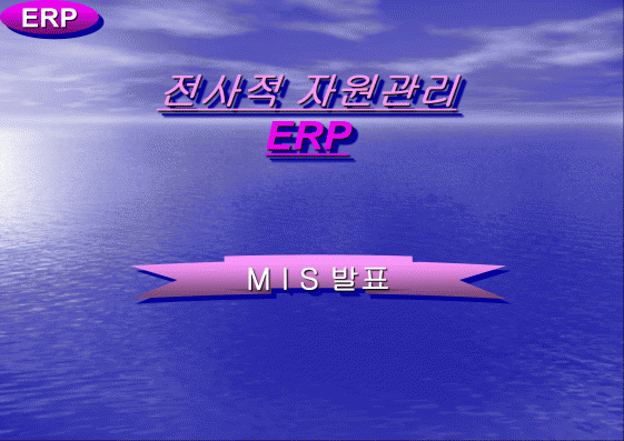 [분석/조사] 전사적자원관리