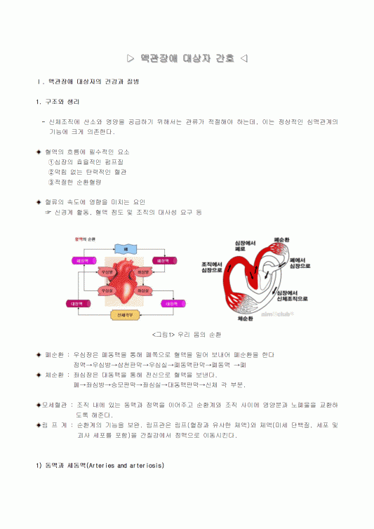 [논문] 맥관장애 대상자 간호