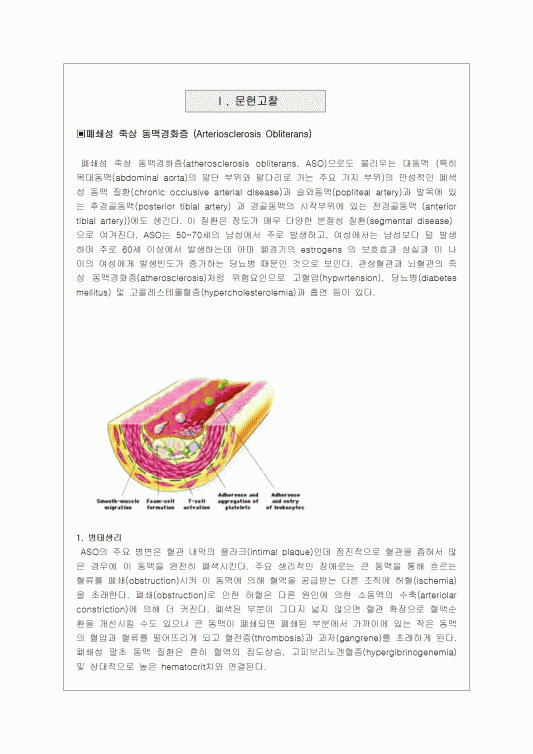 폐쇄성 죽상 동맥경화증 (Arteriosclerosis Obliterans) 케이스