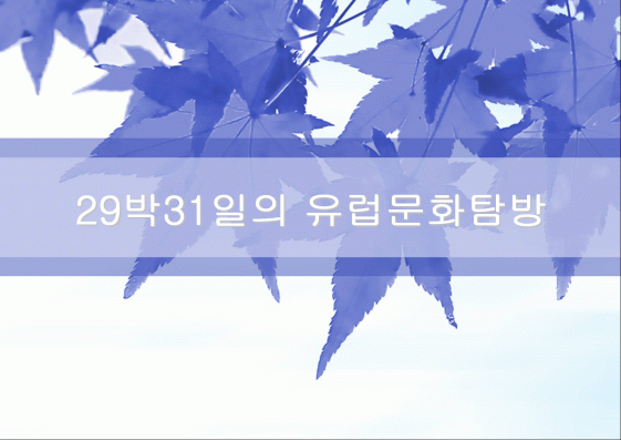 (관광 상품 개발 사업계획서) 29박31일의 유럽문화탐방 사업계획서