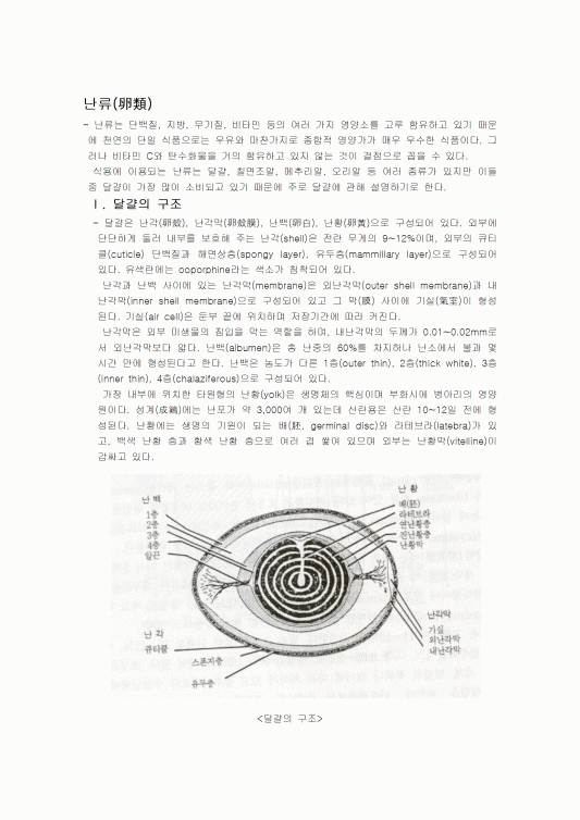 난류(卵類) 레포트 자료