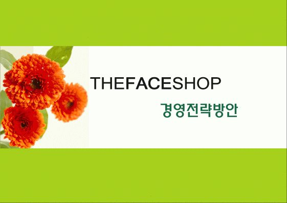 [경영전략,마케팅] THE FACESHOP의 경영전략,마케팅,사업 분석