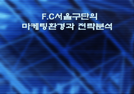 스포츠 마케팅 전략 (F.C서울구단)