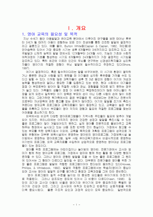 1세 프로그램이론