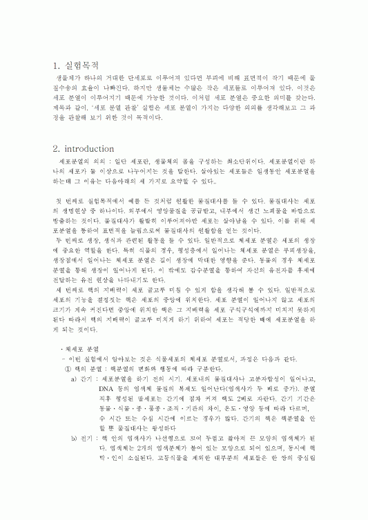 세포 분열및 관찰