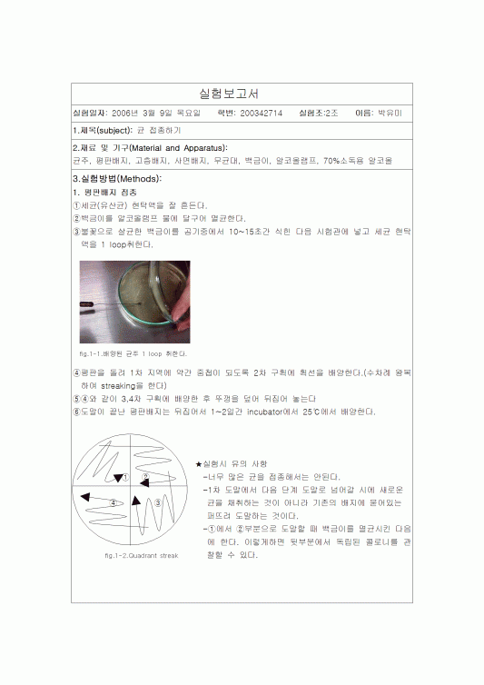균 접종 실험 보고서