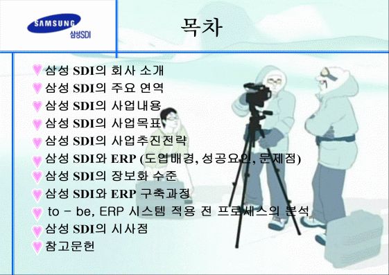 삼성 SDI의 ERP 레포트 자료