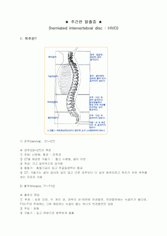 HIVD와 간호 레포트 자료