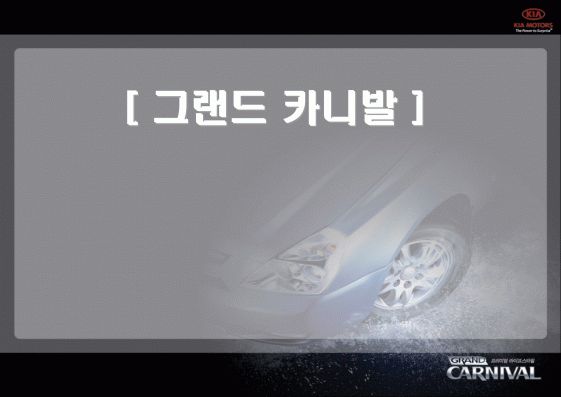 [마케팅]그랜드카니발 마케팅사례를통한 소비자행동분석