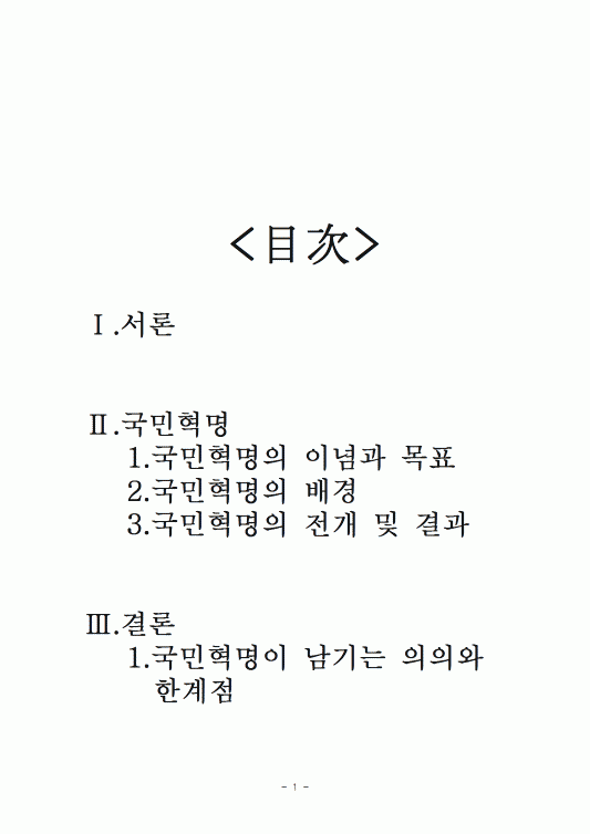 국민혁명 레포트 자료