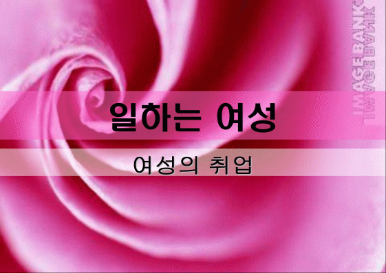 일하는여성 레포트 자료