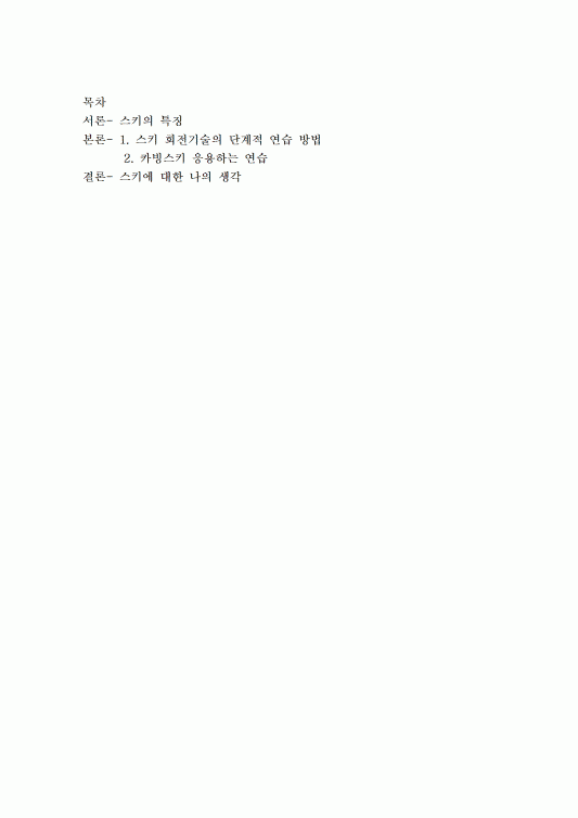 스키의 기술 레포트 자료