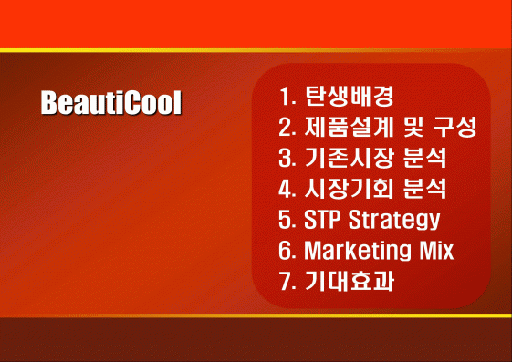 [마케팅]뷰티쿨 마케팅분석