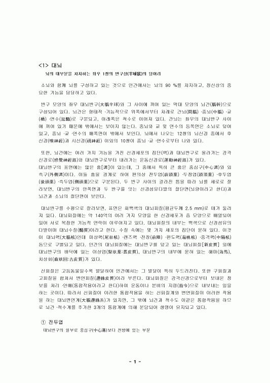 뇌의 기능 레포트 자료