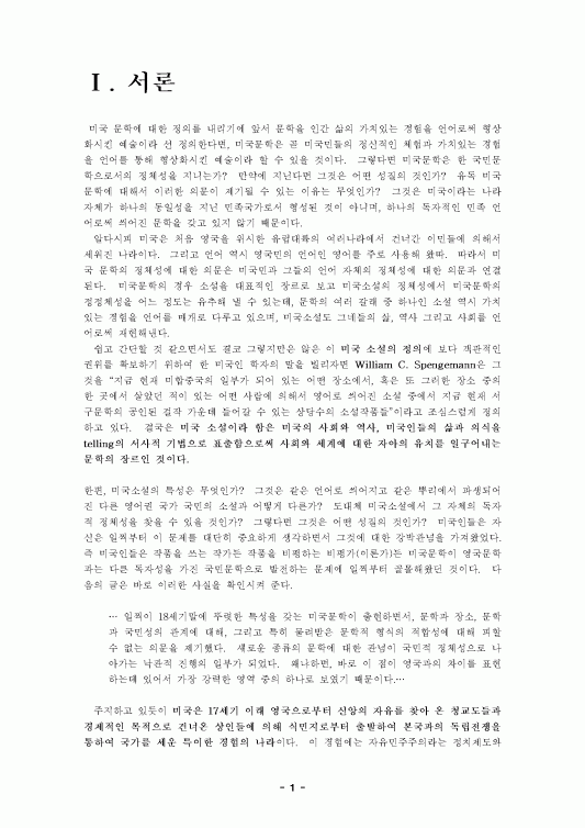 미국 소설의 주제적 특성