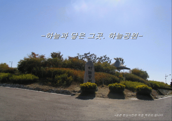 하늘공원답사레포트