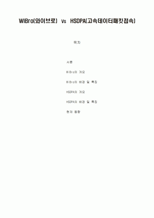 WiBro vs HSDPA 레포트 자료
