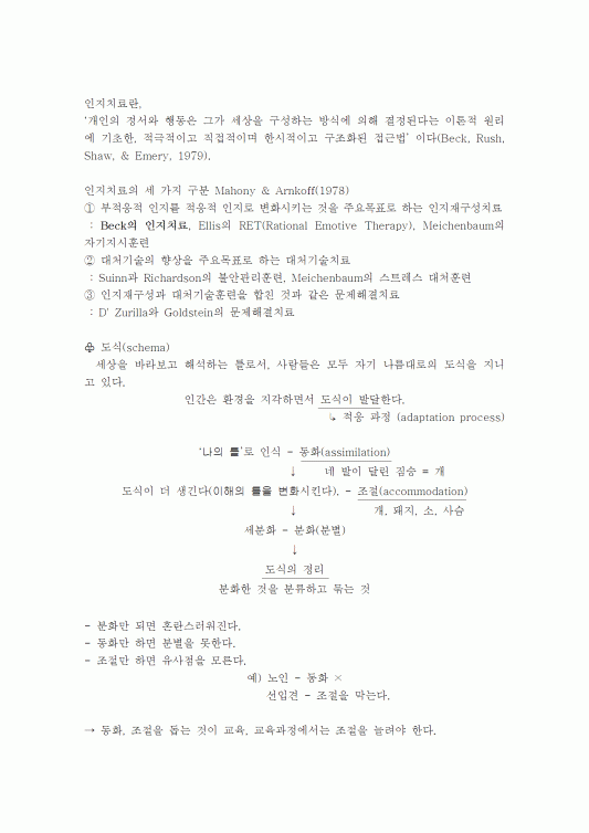 인지치료 레포트 자료