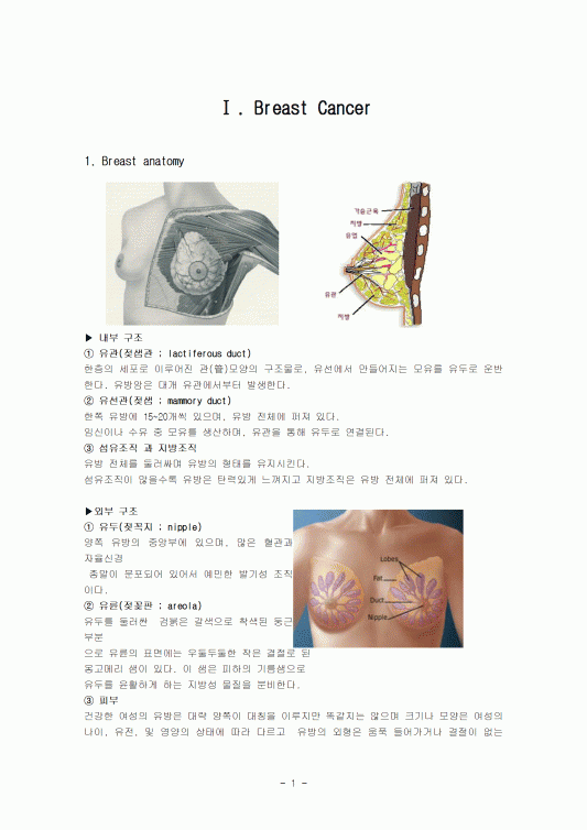 유방암문헌고찰- 성인간호학