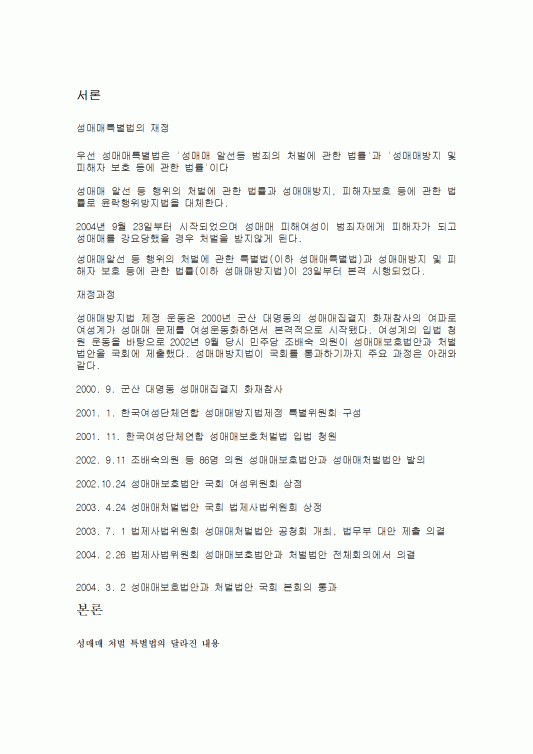 성매매특별법의 재정