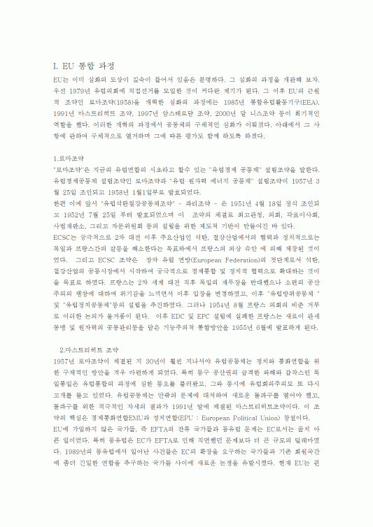 유럽연합의 통합과정과 향후 전망