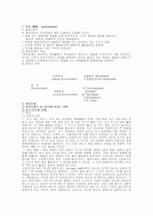 환경문제가 지구환경에 미치는 영향