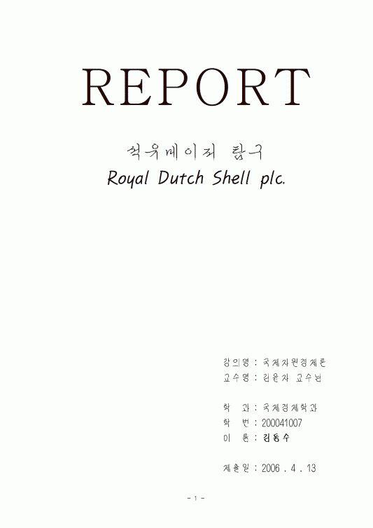 석유메이저 royal dutch shell 기업탐구