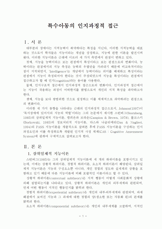 인지과정접근