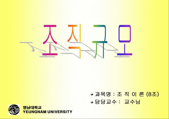 조직규모 레포트 자료