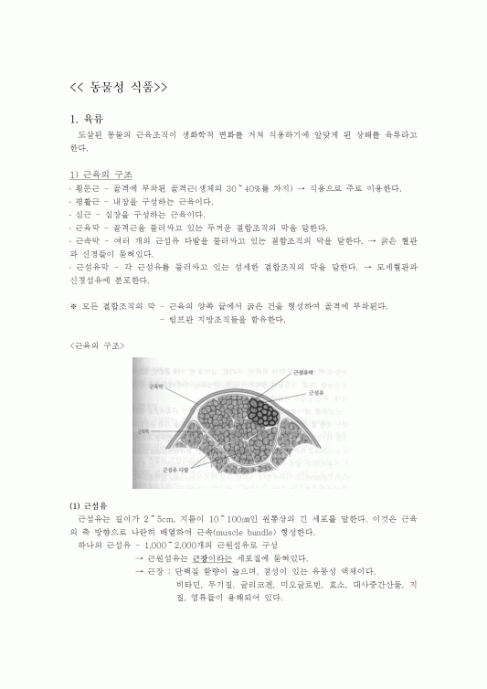 식품과학- 동물성 식품