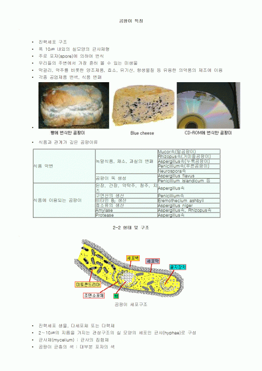 식품미생물학 - 곰팡이